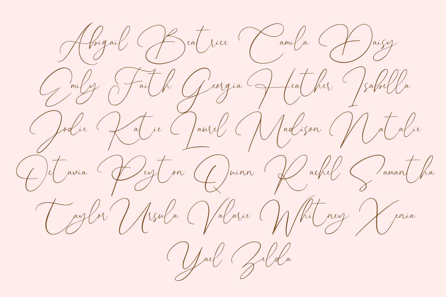 Angelica Boutique Calligraphy Wedding Script « rantaustudio