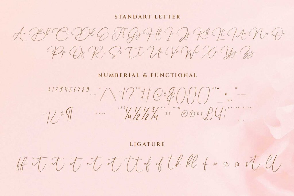Angelica Boutique Calligraphy Wedding Script « rantaustudio